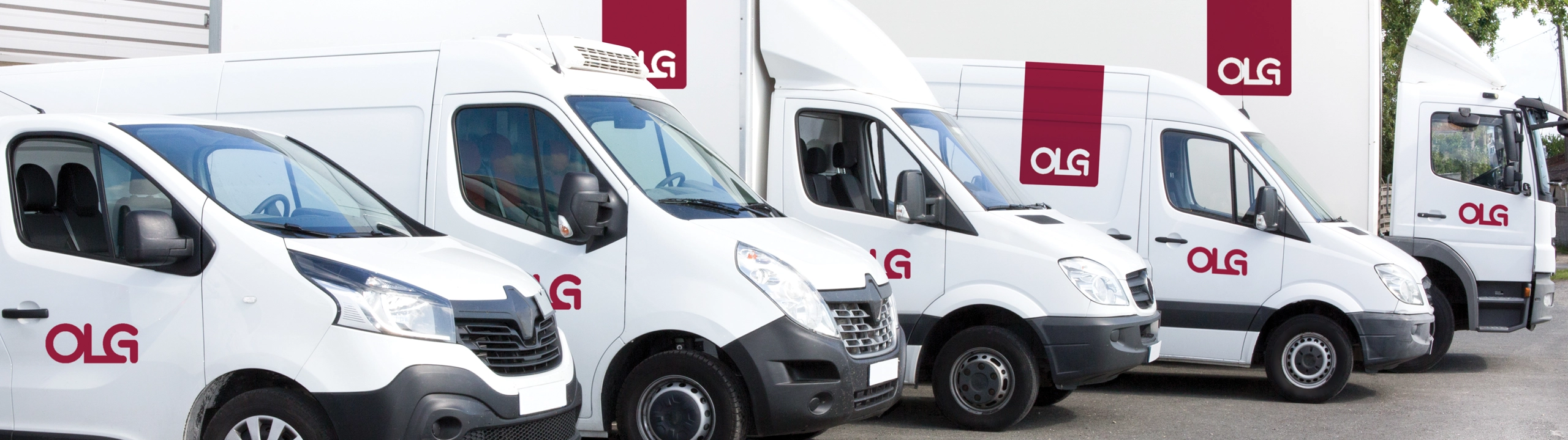 ABOUT US - OLG Office